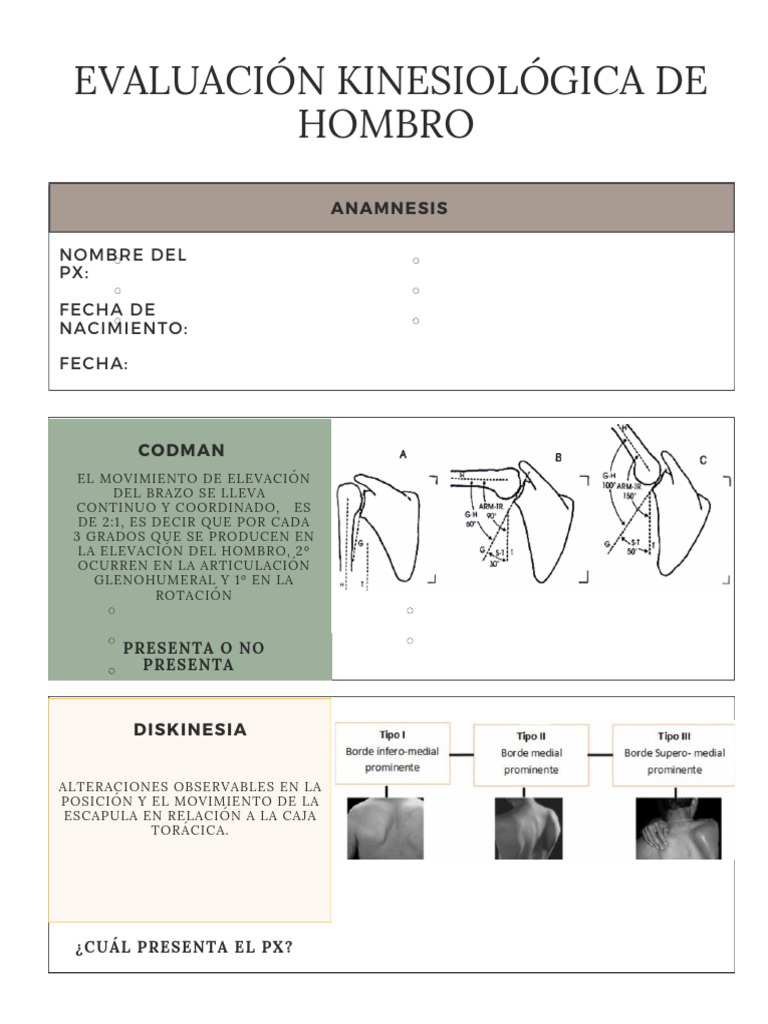 Formato Hombro | PDF | Hombro | Codo