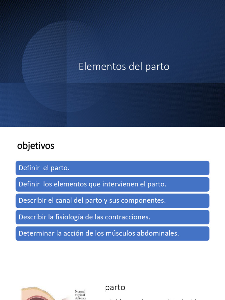 Elementos y Fisiología del Parto | PDF | Pelvis | Parto