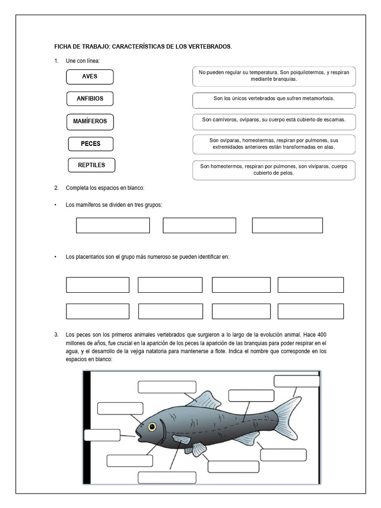Ficha de Trabajo 1º "Los Animales" | PDF
