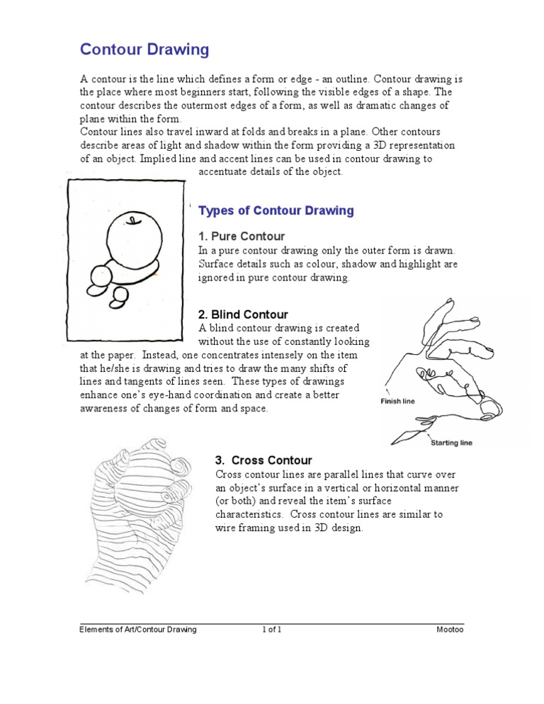 Contour Drawing | PDF