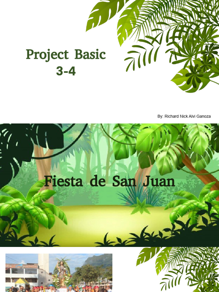 Project Basic 3-4: By: Richard Nick Alvi Ganoza | PDF