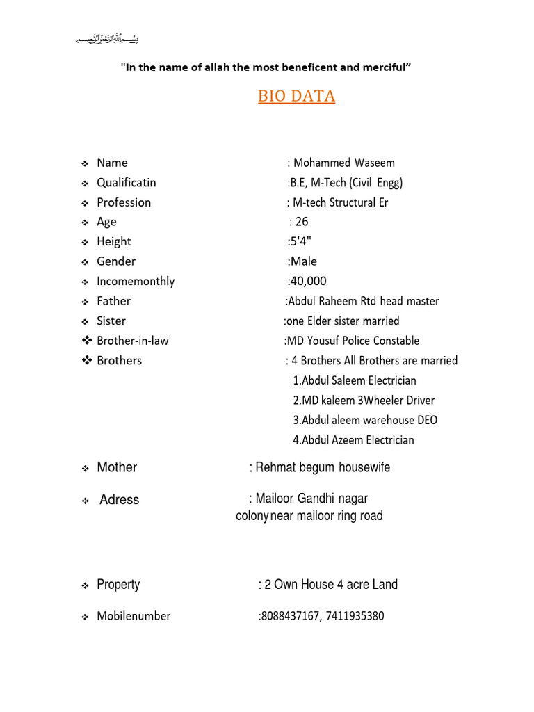 Mohammed Waseem Bio Data Summary | PDF
