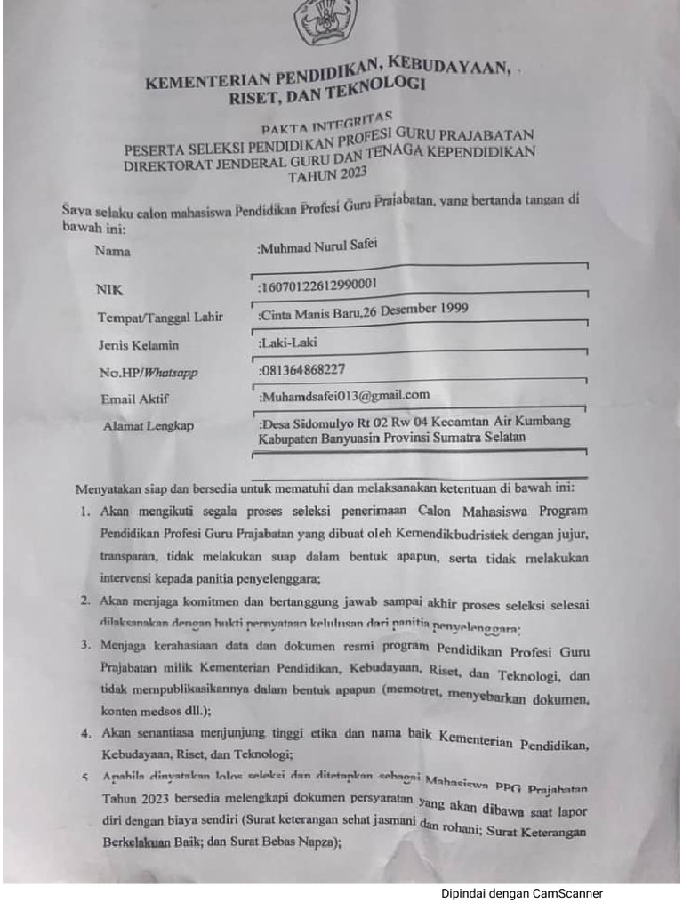 Fakta Integritas SAFEI | PDF