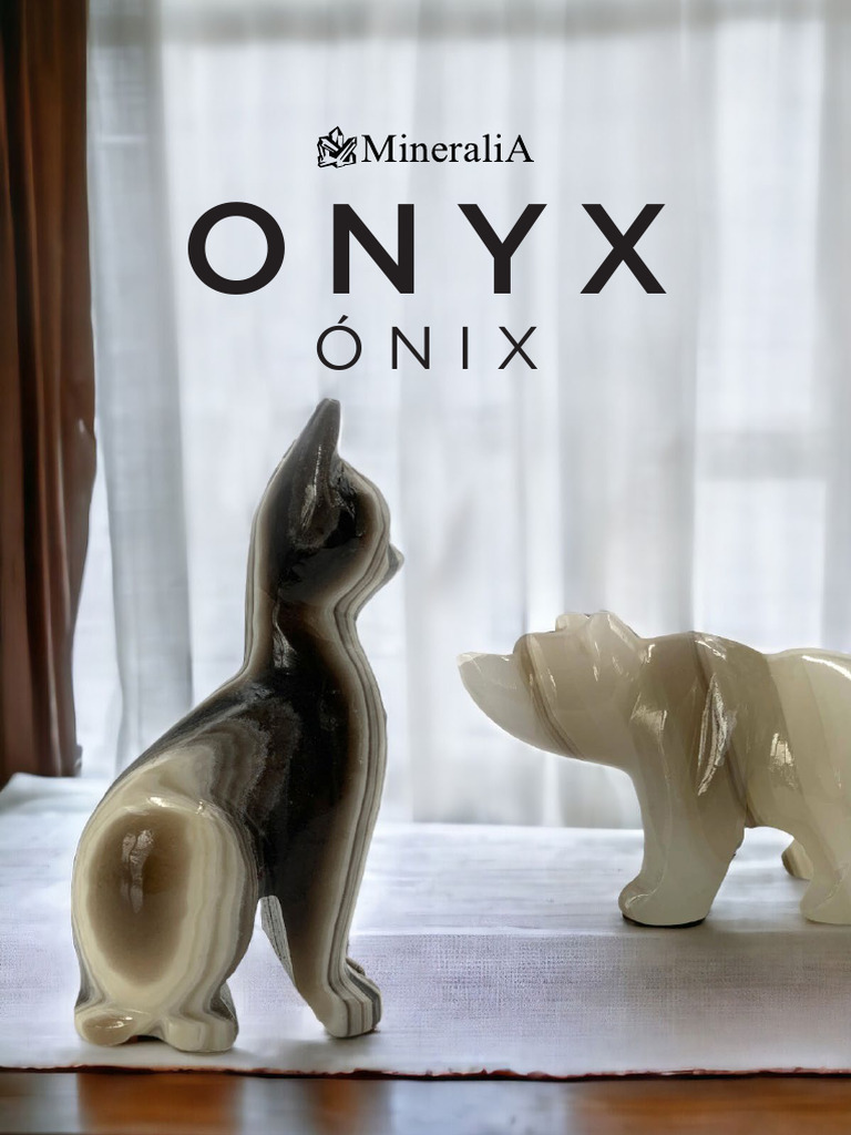 Onyx Onix | PDF