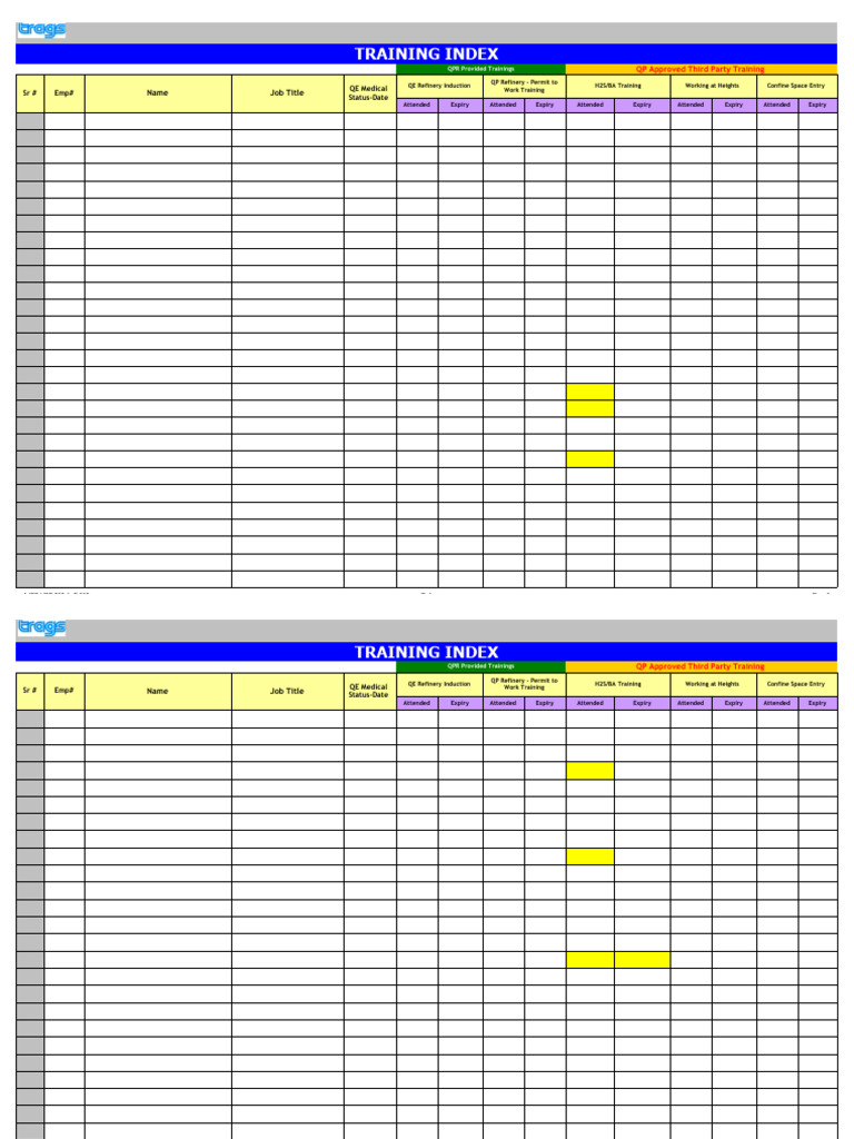 HSE-Training-Matrix-QIS | PDF | Human Resources | Safety
