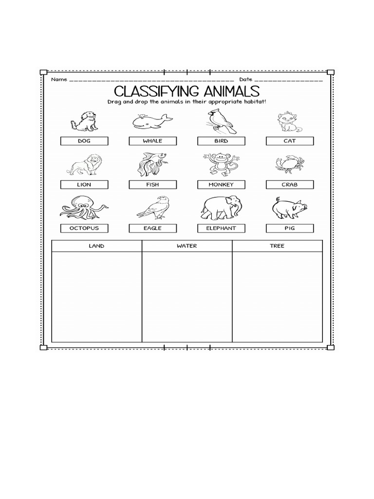Classifying Animals Worksheets - 154005.jpg | PDF