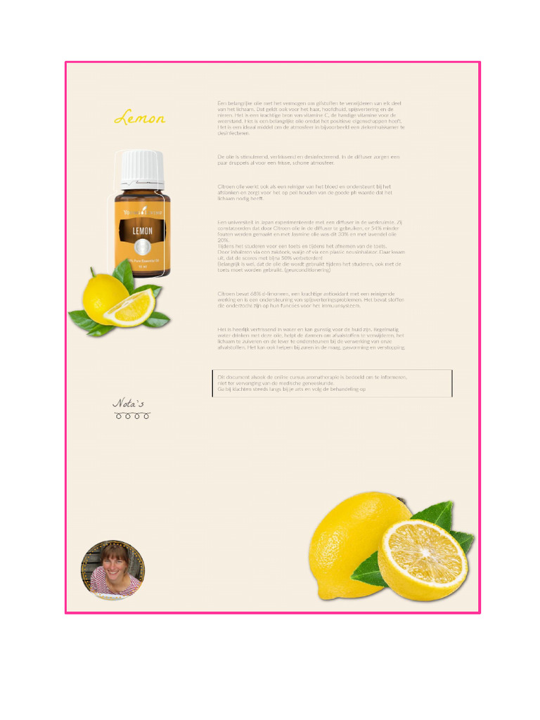 Doc-Lemon | PDF
