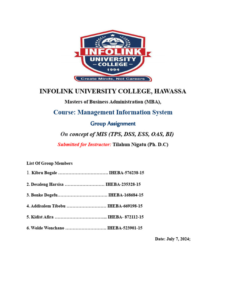 Group Assignment on MIS applications | PDF | Analytics | Decision Support System