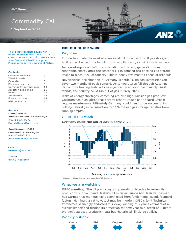 ANZ Research Commodity Call Not Out of The Woods | PDF | Commodity ...