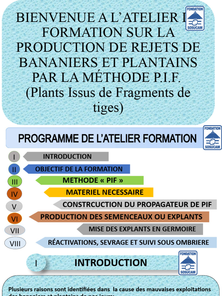 Formation sur la méthode PIF pour plantains | PDF | Banane | Insecticide