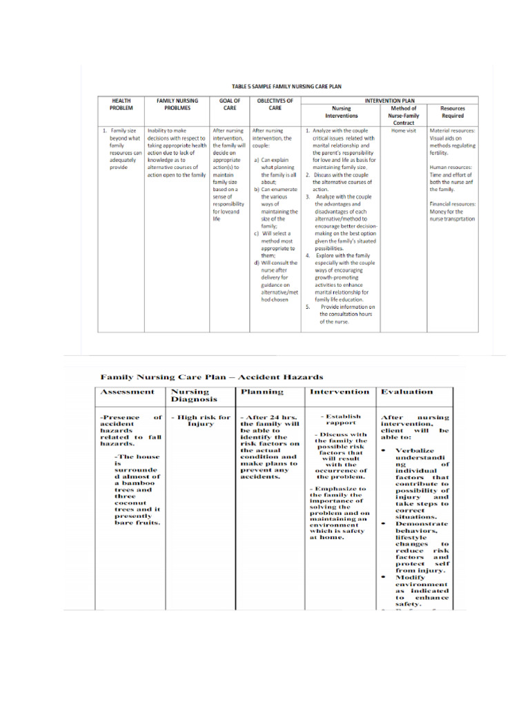 Sample Family Care Plan | PDF