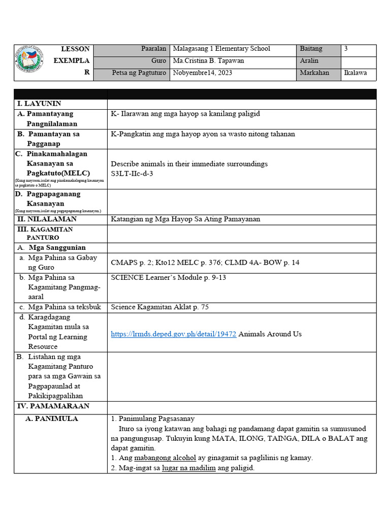 Cot 2 Lesson Exemplar | PDF