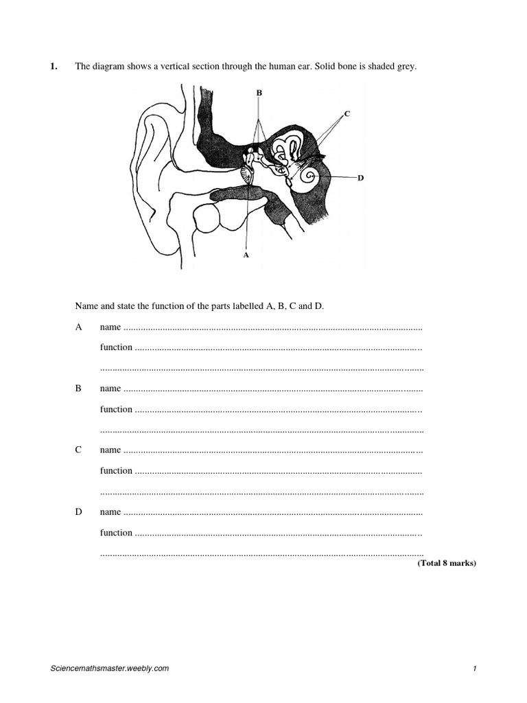 Medical Physics | PDF | Decibel | Electromagnetic Radiation