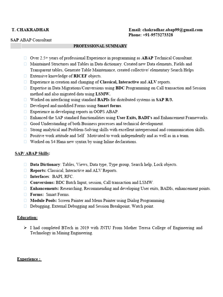 Professional Summary | PDF | Invoice | Computer Science