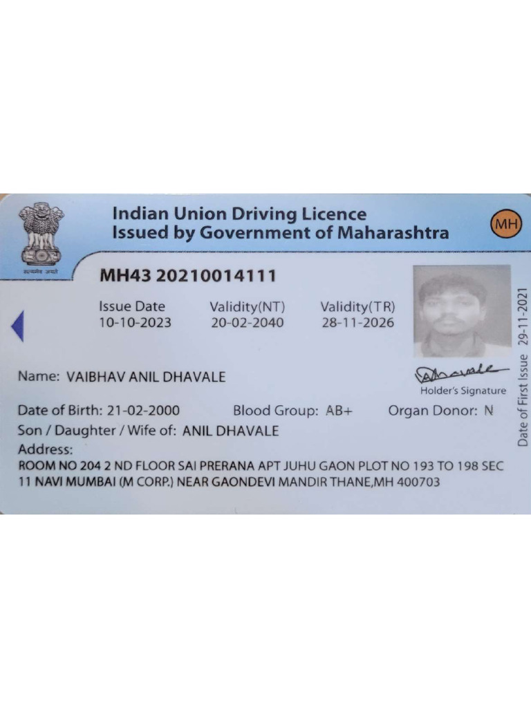 Driving Licence | PDF