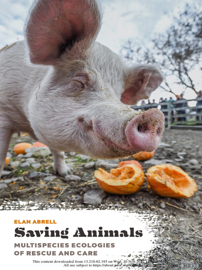 Saving Animals | PDF | Animal Welfare | Animal Rights