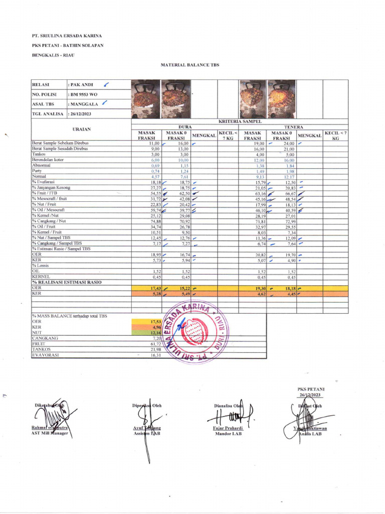 HASIL ANALISA TBS PAK ANDI (MANGGALA) | PDF