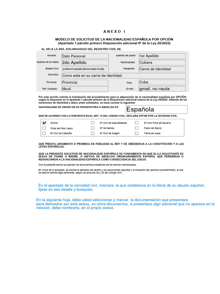 Todo lo que debes saber para llenar correctamente ley de nietos | PDF | Documento de identidad ...