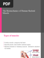 Torbay Cuff Protocol | PDF | Anatomical Terms Of Motion | Shoulder