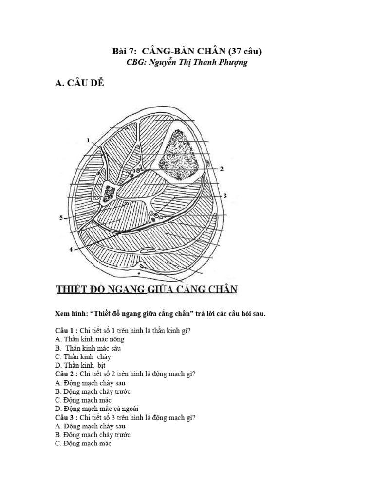 7 cang ban chan(37 câu) | PDF