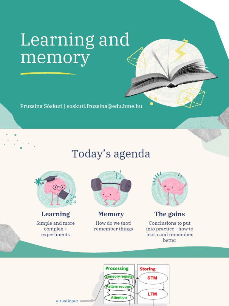 Effective Learning and Memory Techniques | PDF | Classical Conditioning ...