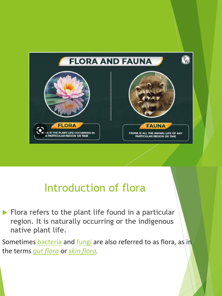 Presentation flora fauna - Final-compressed | Download Free PDF | Fauna | Basil
