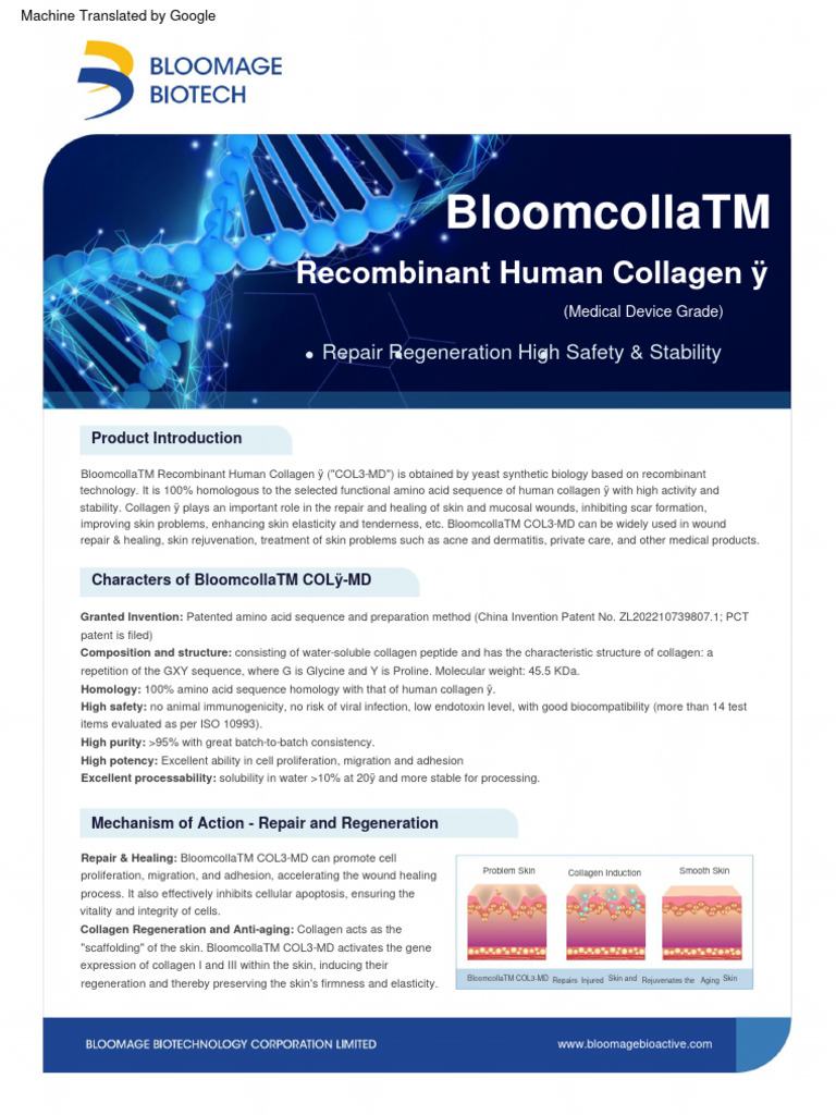 Bloomcolla Recombinant Human Collagen III Final 20230825 | PDF ...