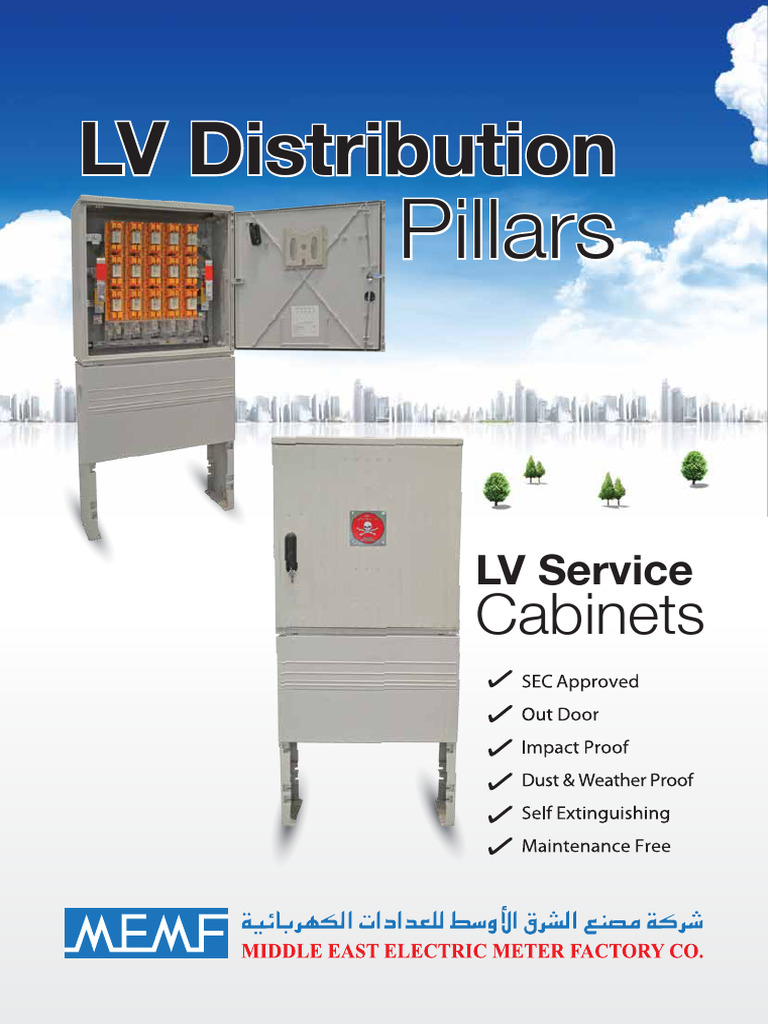 LV Distribution Flyer | PDF | Computers