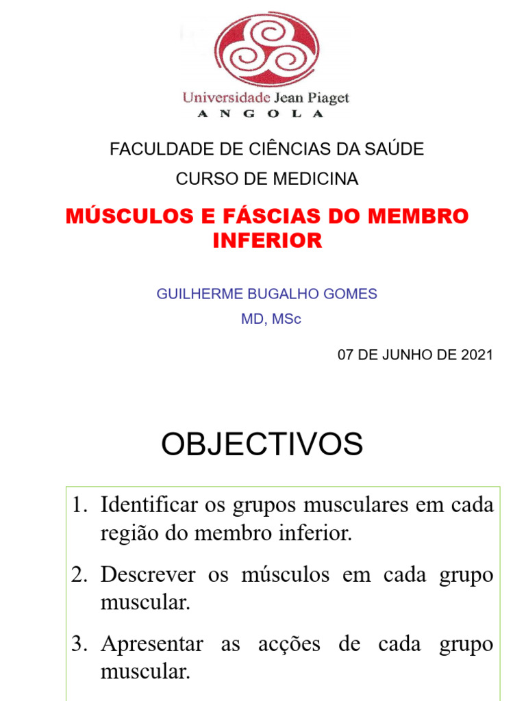 13-Aula Sobre Músculos Do Membro Inferior 2020-2021 Med Geral | PDF ...