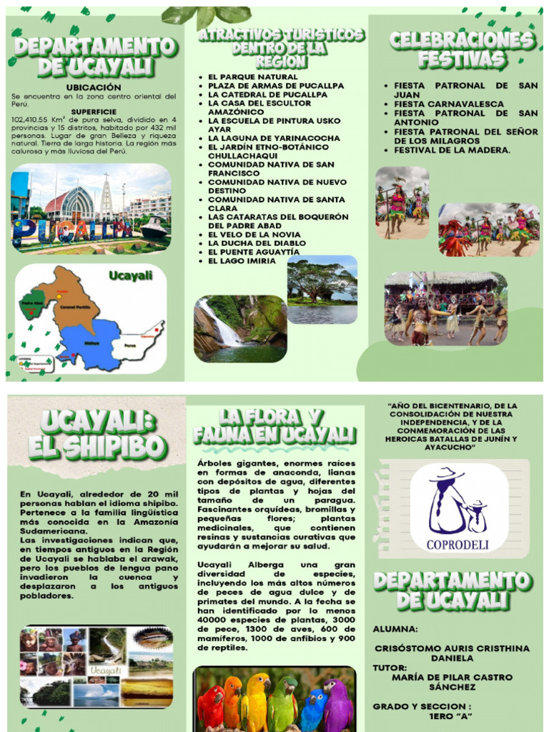 Triptico Ucayali | PDF
