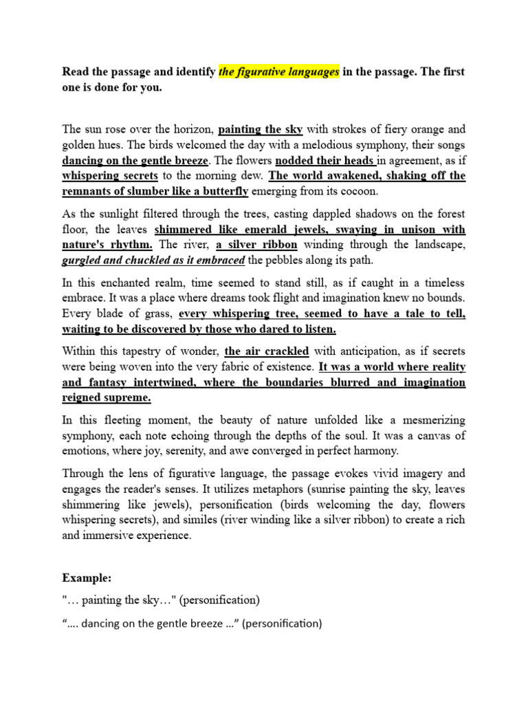 Language devices (exercises) | PDF