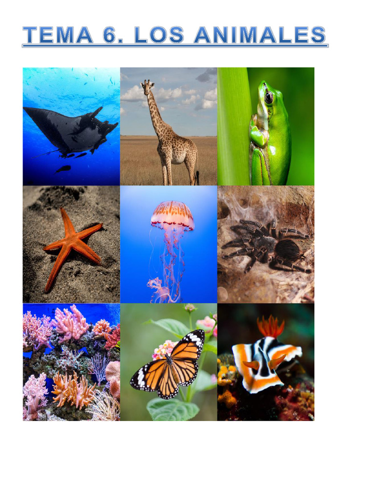 Apuntes - Nutrición Animal - Circul&Excret - 20232024 | PDF | Sistema ...