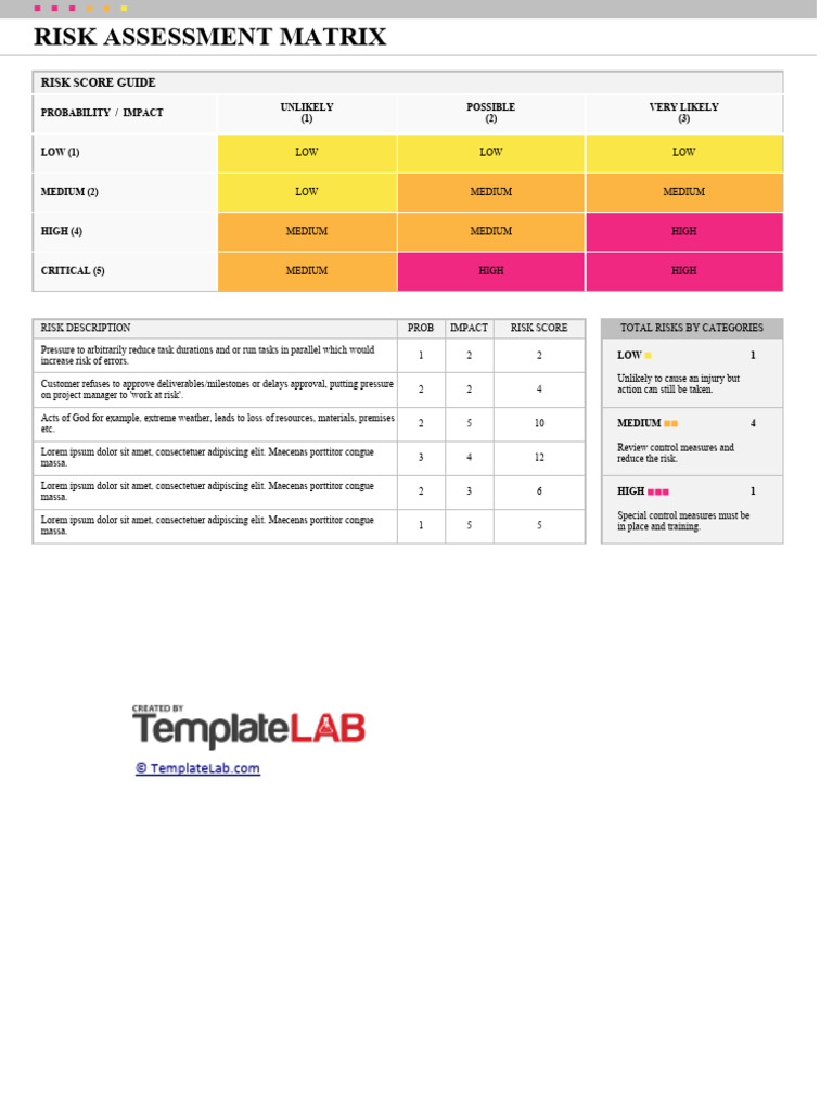 Risk Assessment Matrix Template | PDF | Risk | Safety