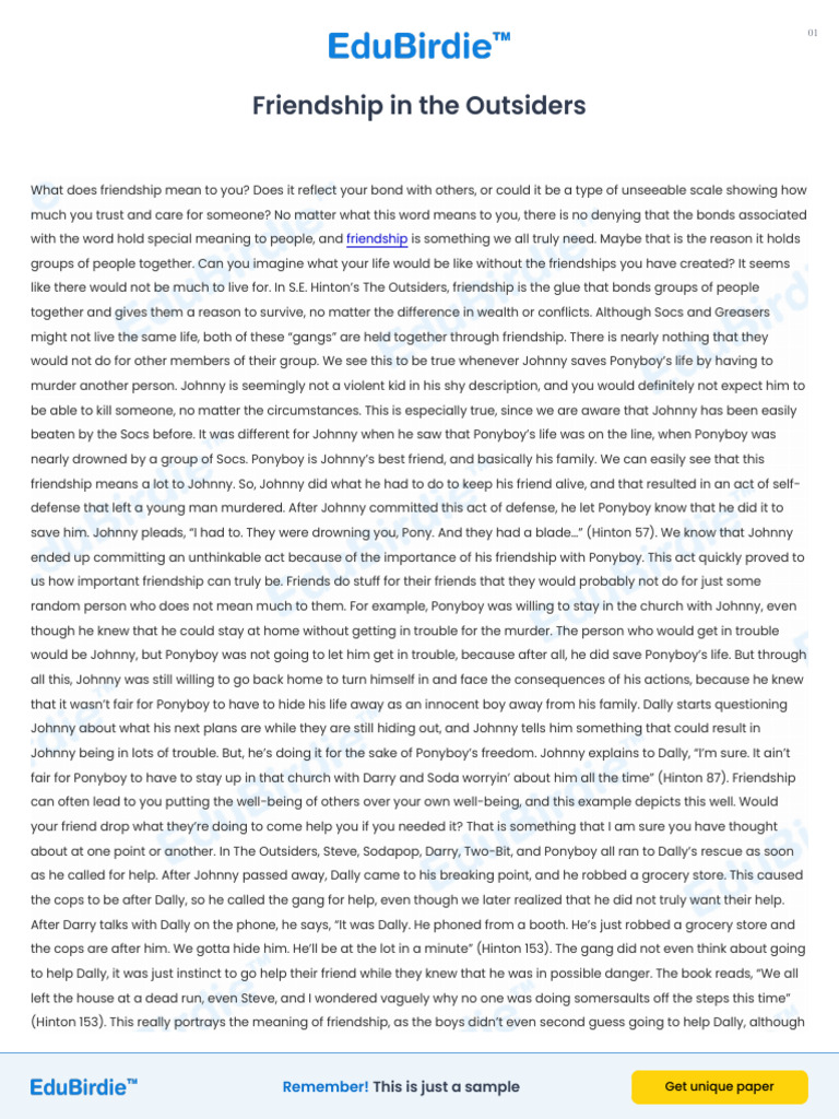 Friendship in The Outsiders | PDF | Social Science | Self-Improvement