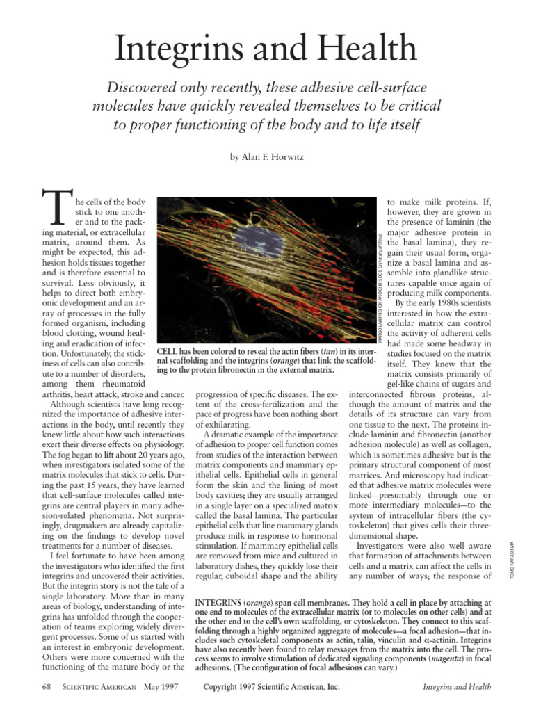 Integrins and Health | PDF | Extracellular Matrix | Cell Adhesion