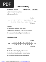 Dental Anatomy: Teeth Nomenclature & Numbering | PDF | Dental Anatomy ...
