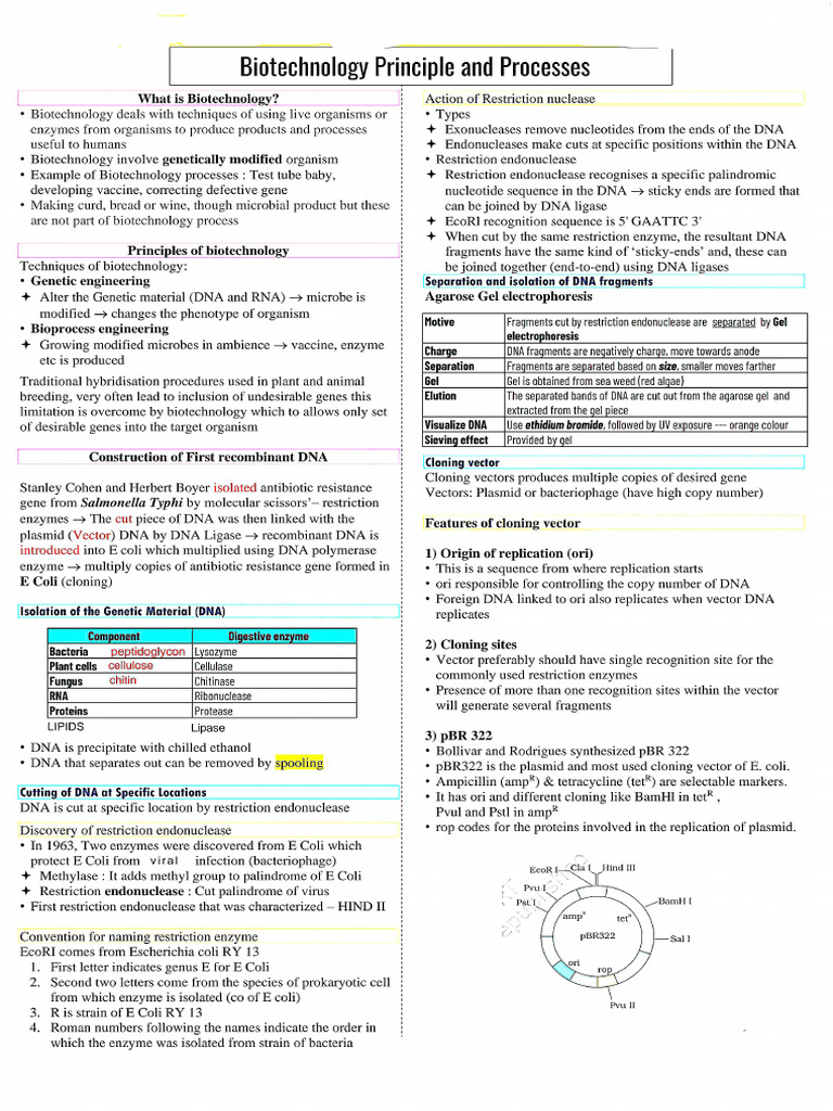 Biotechnology Principle and Process Power Notes | PDF