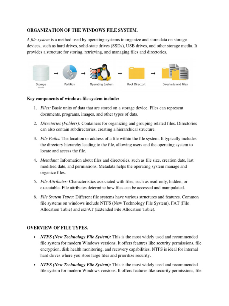 Windows and Linus Organisation | PDF | File System | Computer File