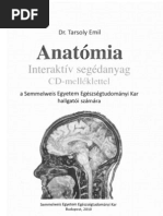 Werner Platzer SH Atlasz Anatómia I. Kötet | PDF