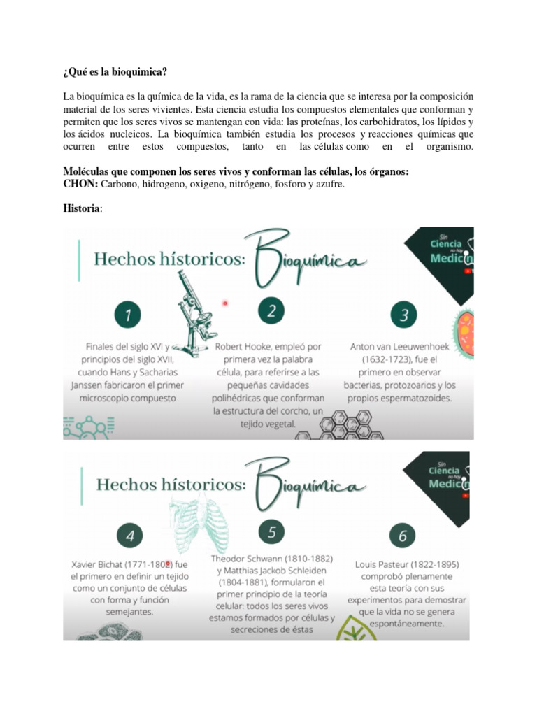 Introducción a la Bioquímica y Células | PDF | Biología Celular ...