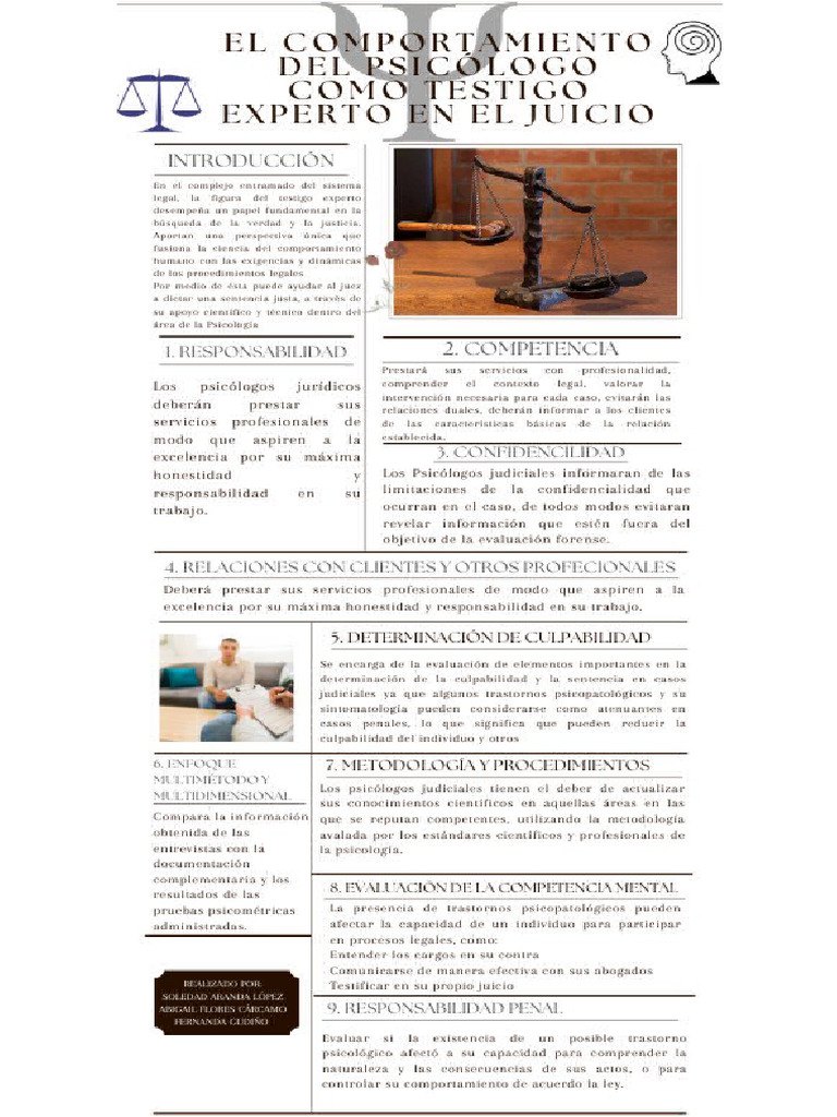 Infografía Psicologo Como Testigo Experto | PDF