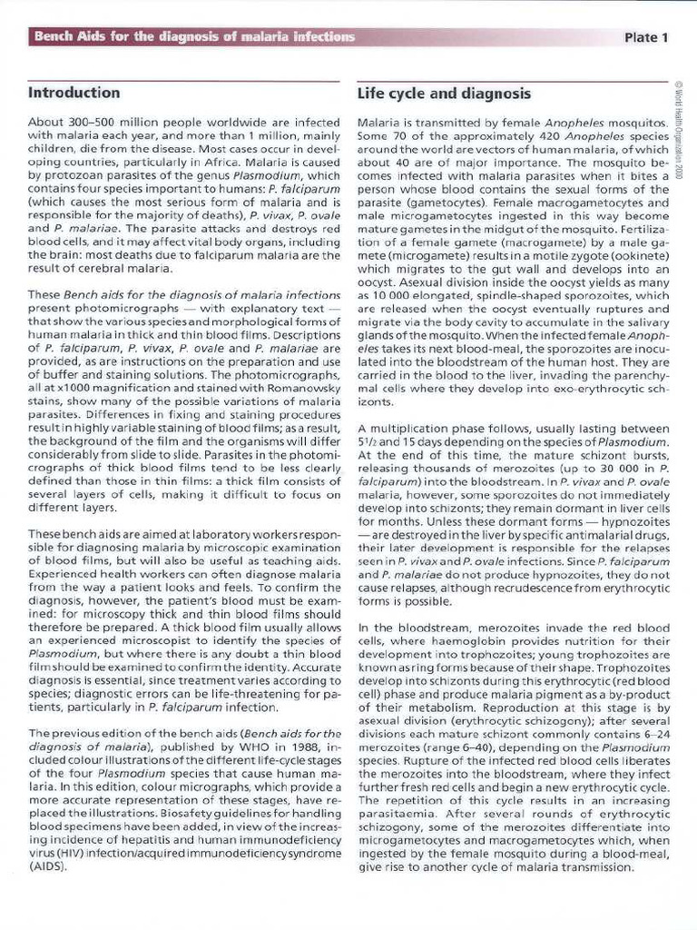 WHO Malaria Bench Aid | PDF
