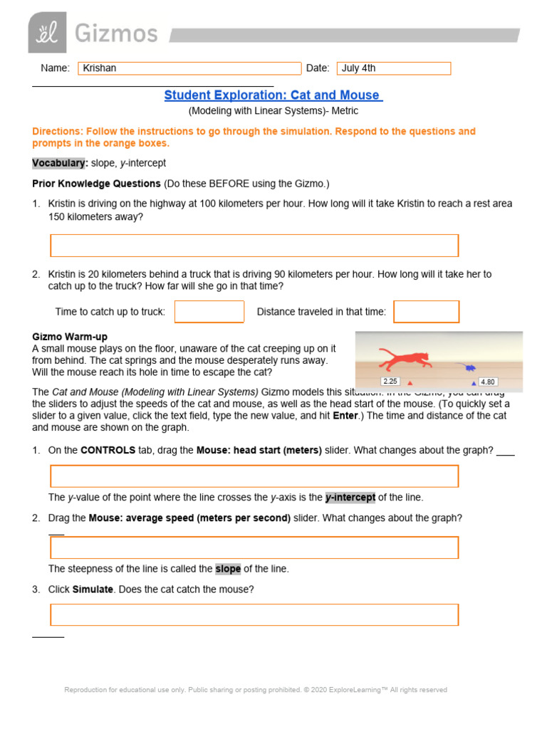 Cat and Mouse Activity (SPH4C) | PDF