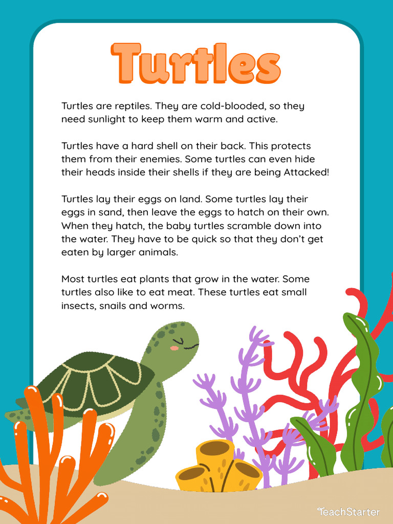 Finding the Main Idea Comprehension Task Turtles a Do Be Reader | PDF ...