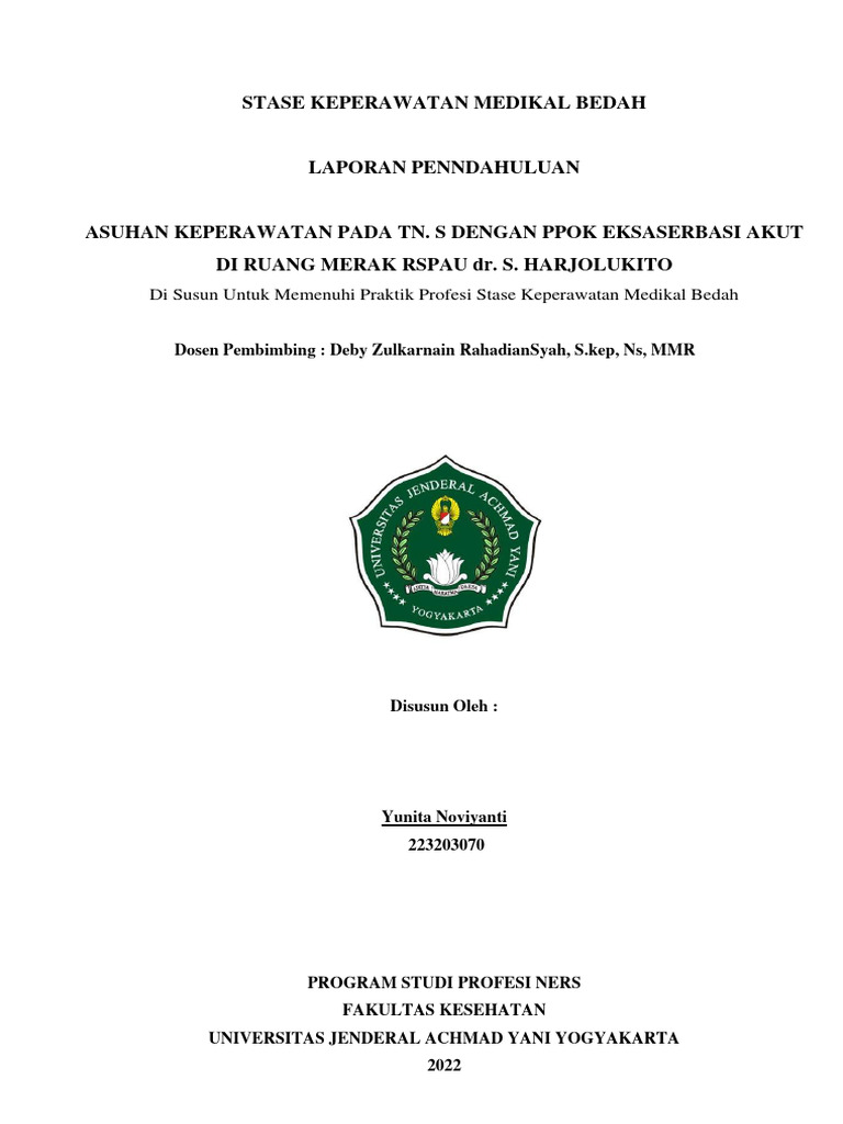 LP PPOK | PDF