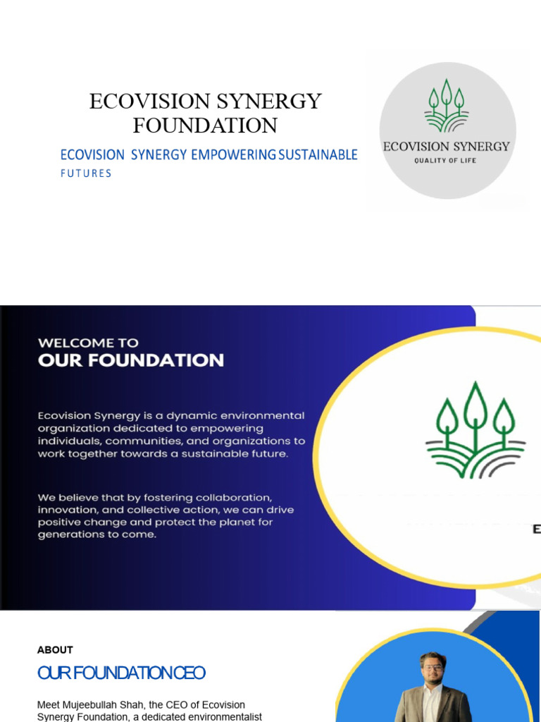 Final Ecovision Synergy Foundation (Revised) - 2 | PDF | Sustainability ...