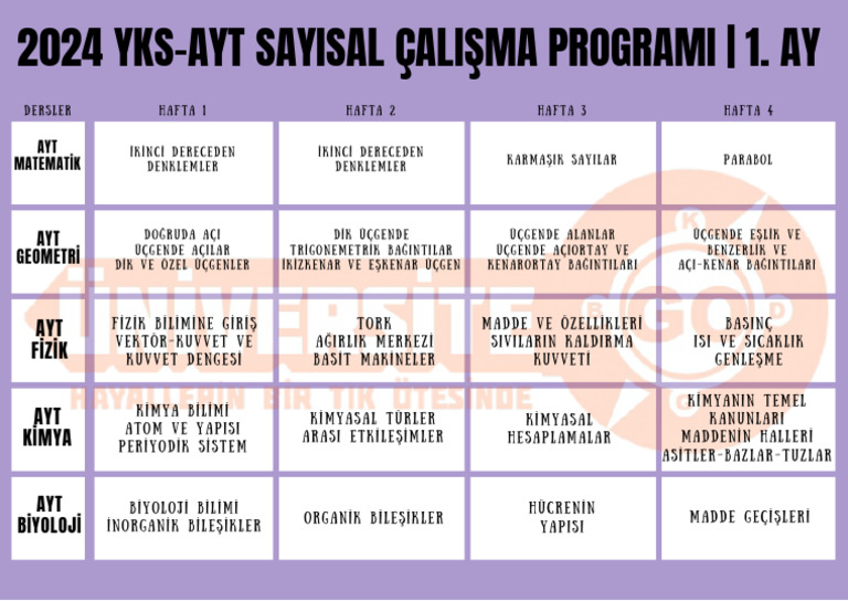 2024 Ayt Sayisal Calisma Programi 1.ay | PDF