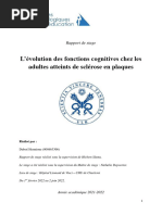 Test de Stroop Victoria : Guide d'utilisation | PDF | Attention | Vert