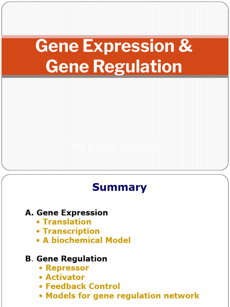 Gene Expression N Regulation | PDF | Rna | Gene Expression