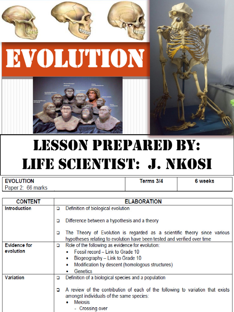 Evolution Revision Lesson-1 | PDF | Homo | Natural Selection